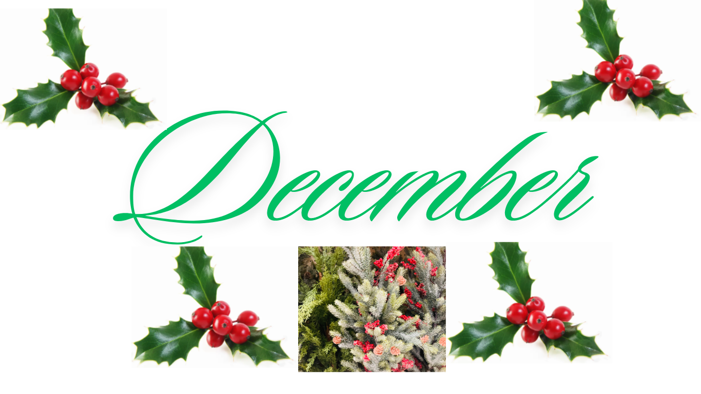 How Many Weeks Before Christmas: count down calculator, activites ...